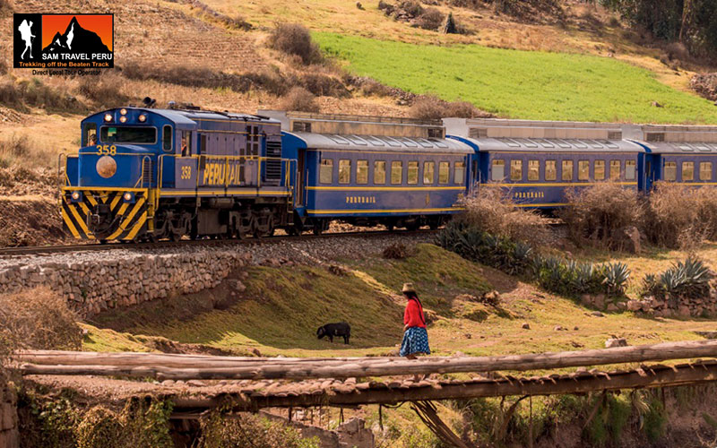 Tour Machu Picchu 1 dia con tren Expedition | Agencia de viajes en Cusco